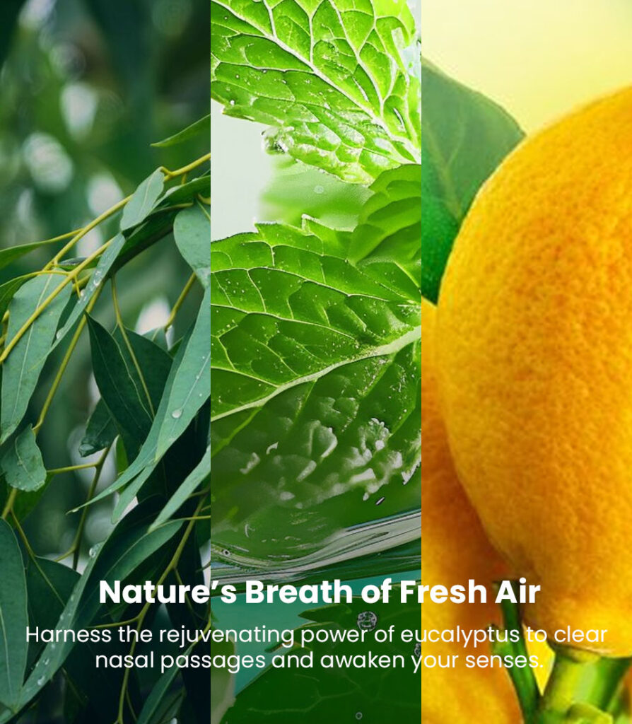 Blood Vessel Cleansing Nasal Inhalation – Partulart